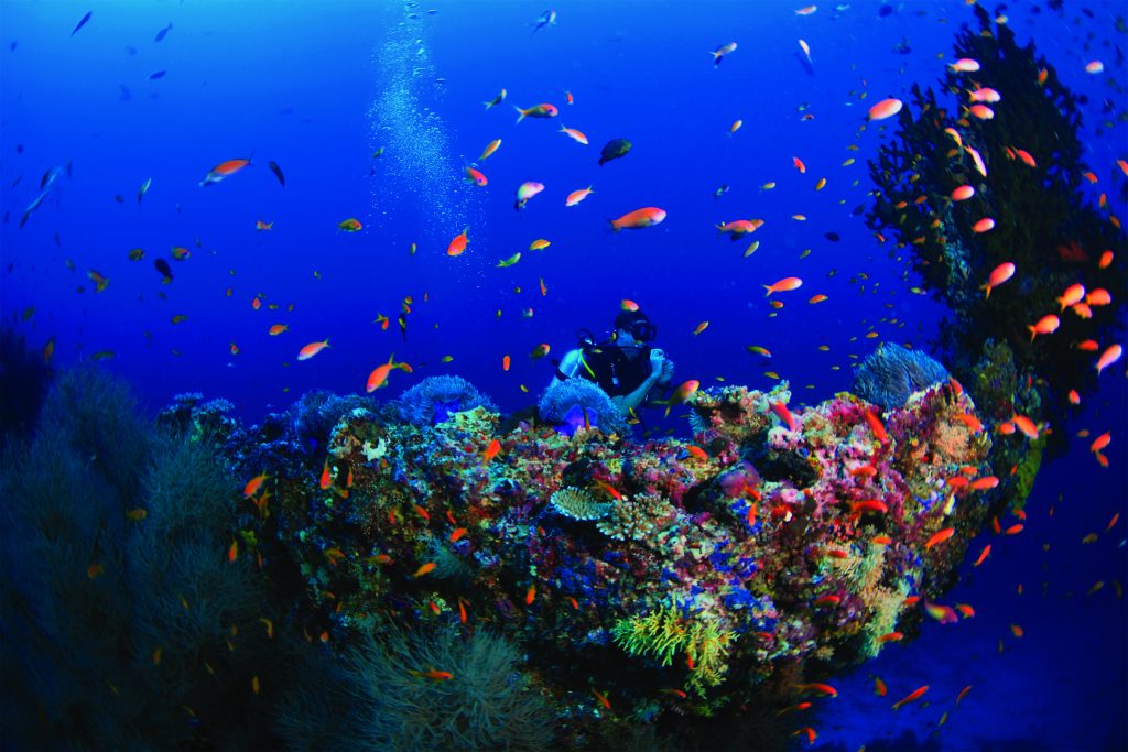 5 of the best house reefs in the Maldives