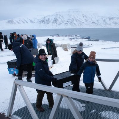Oreo’s Doomsday Vault: The Ultimate Cookie Survival Stash